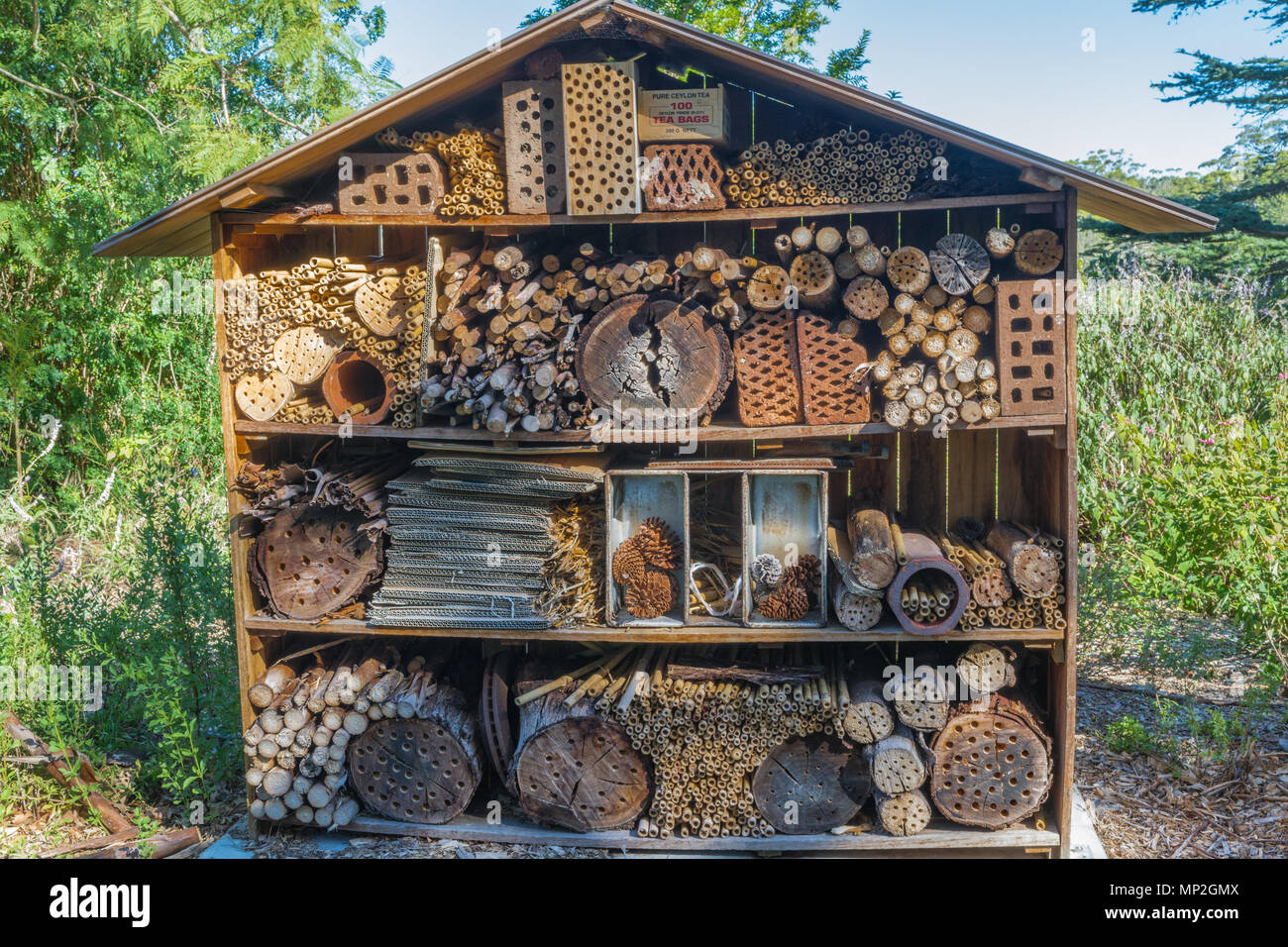 Insect Hotel Wollongong Botanic Gardens Stock Photo - Alamy