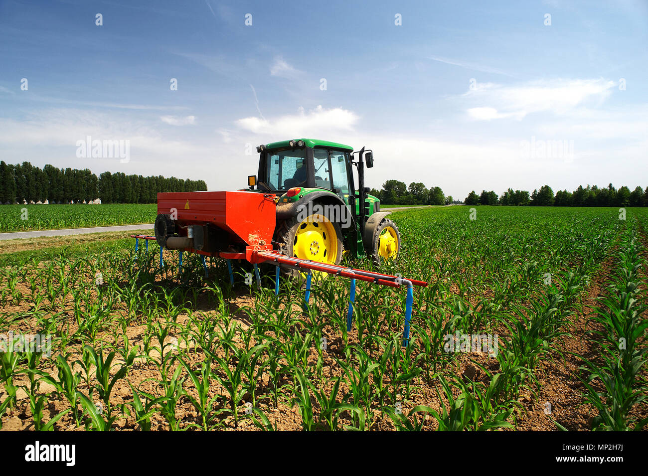 Castelvisconti (Cr), Italy, the fertilization with urea of a field of ...