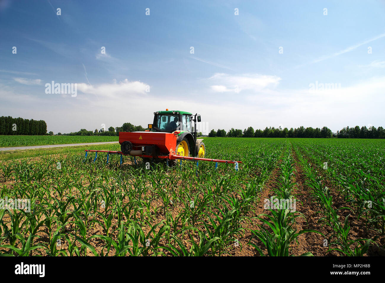Castelvisconti (Cr), Italy, the fertilization with urea of a field of ...