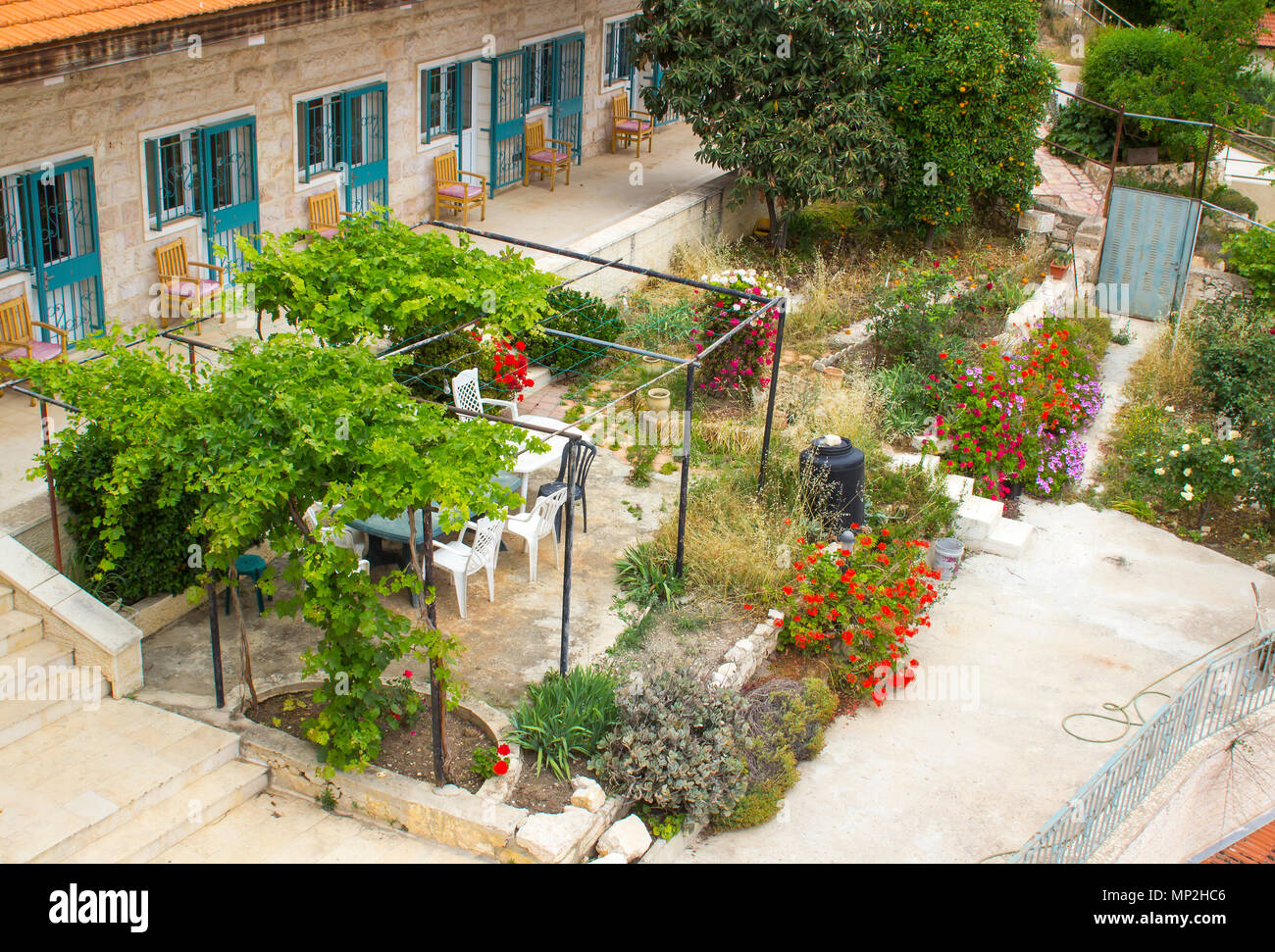 A view into a small city garden with a grapevine from the rooftop of ...