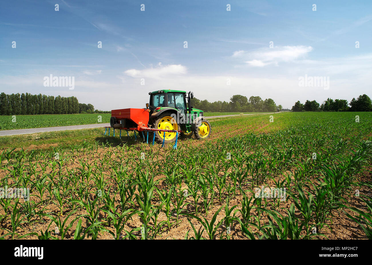 Castelvisconti (Cr), Italy, the fertilization with urea of a field of ...