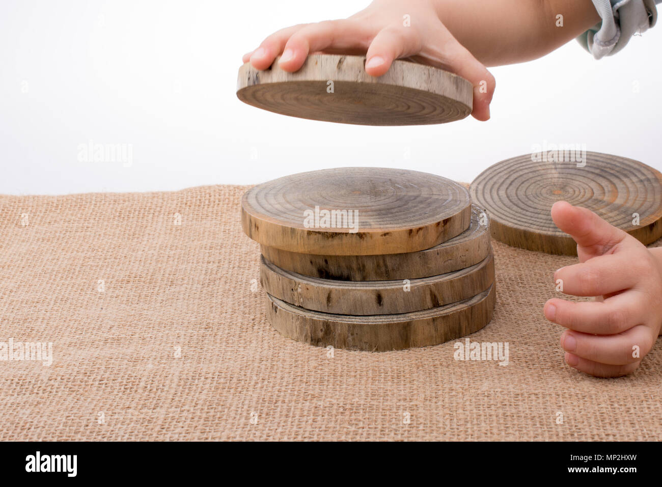 Wood Log cut in round thin pieces in hand Stock Photo - Alamy