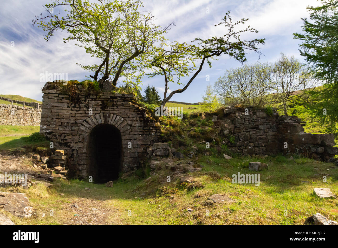 Abandoned Mine Entrance