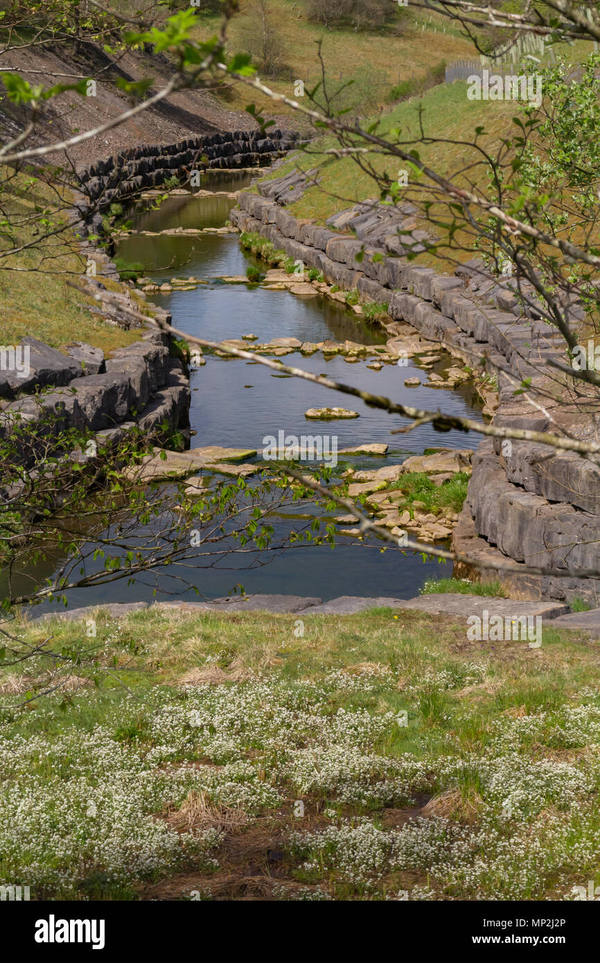 River Nent on Isaac's Tea Trail, Nenthead, Cumbria Stock Photo - Alamy