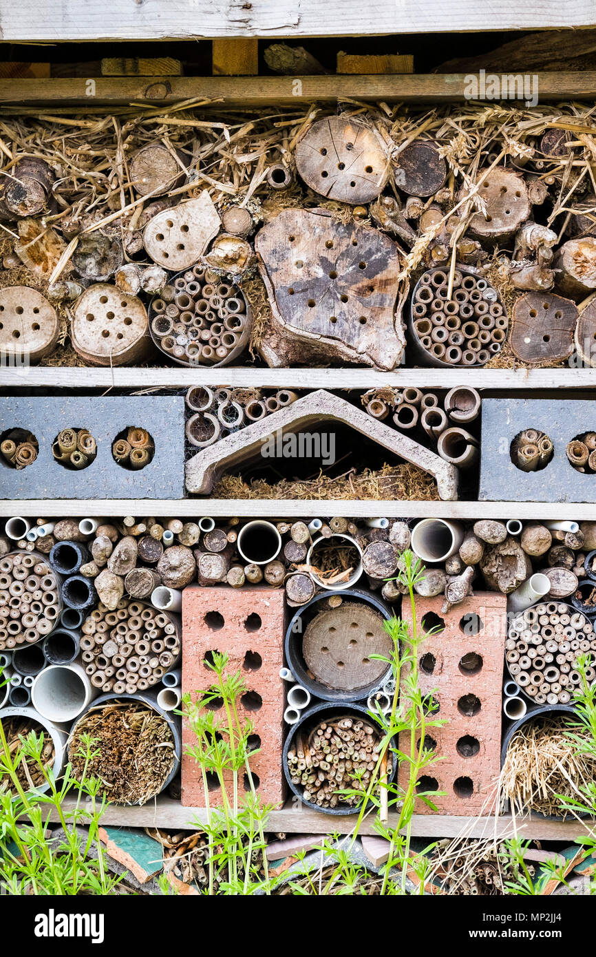 Structure of insects hi-res stock photography and images - Alamy