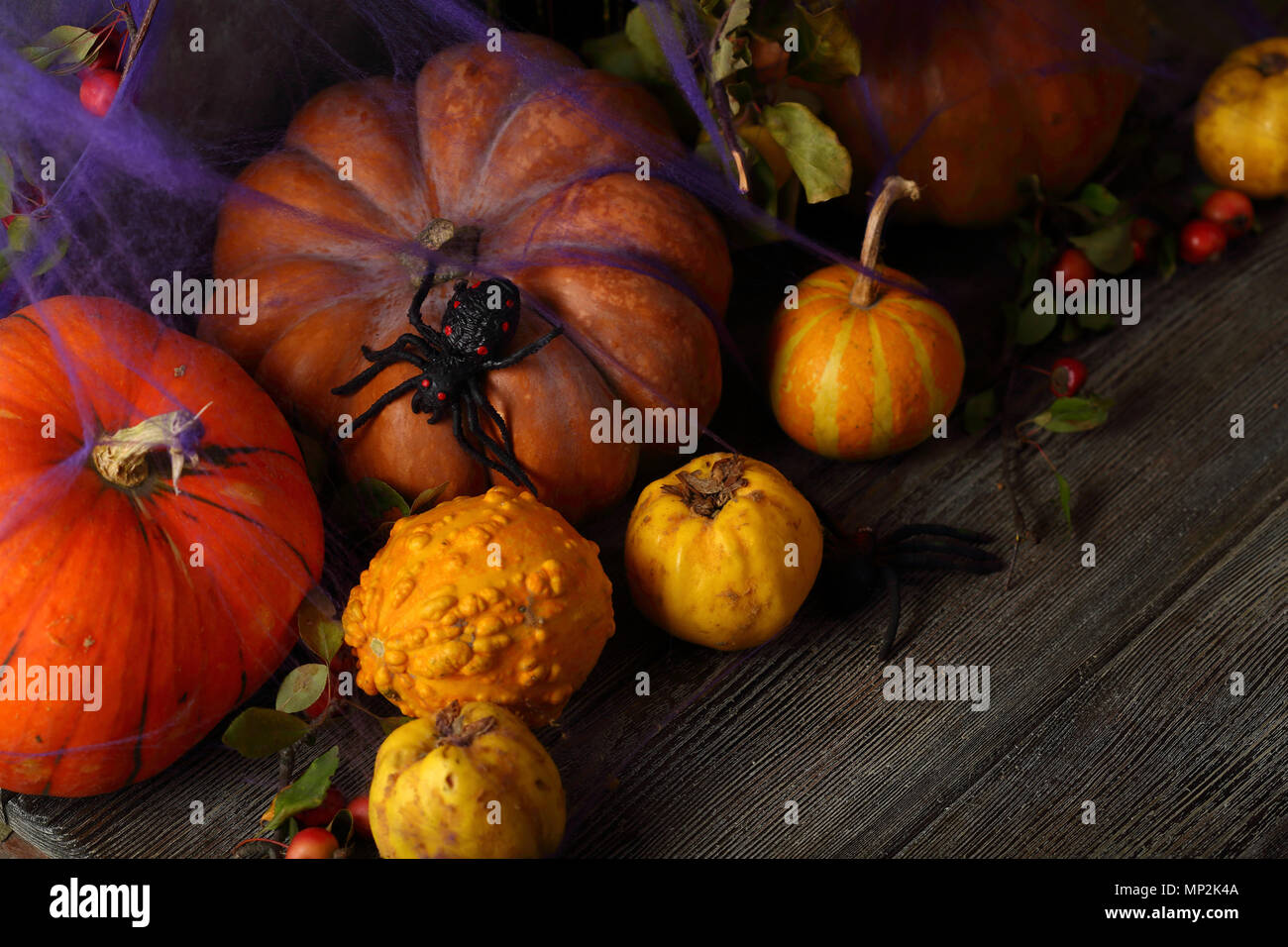 Halloween pumpkin still life Stock Photo - Alamy