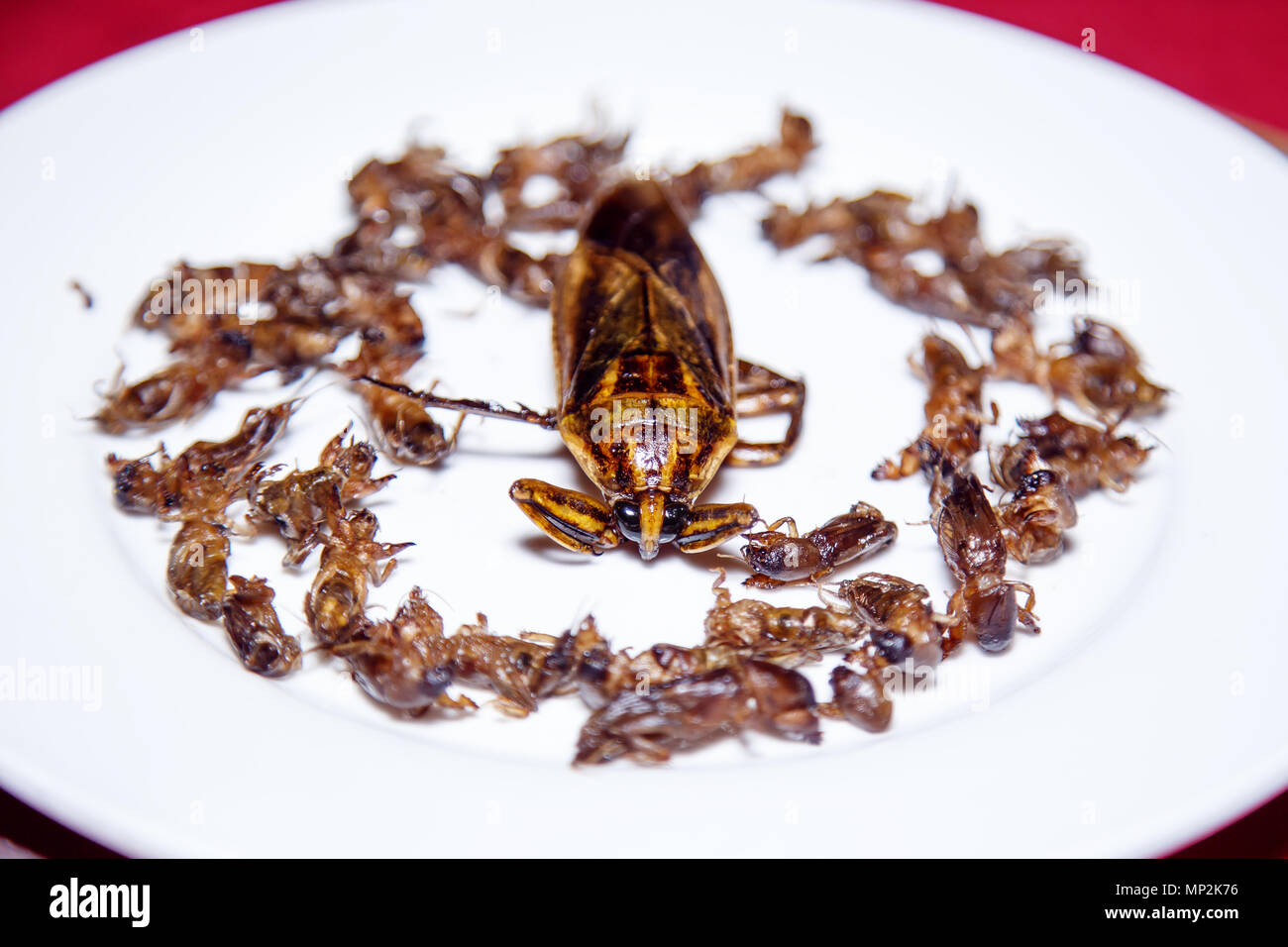 Cambodia insect food street hi-res stock photography and images - Alamy