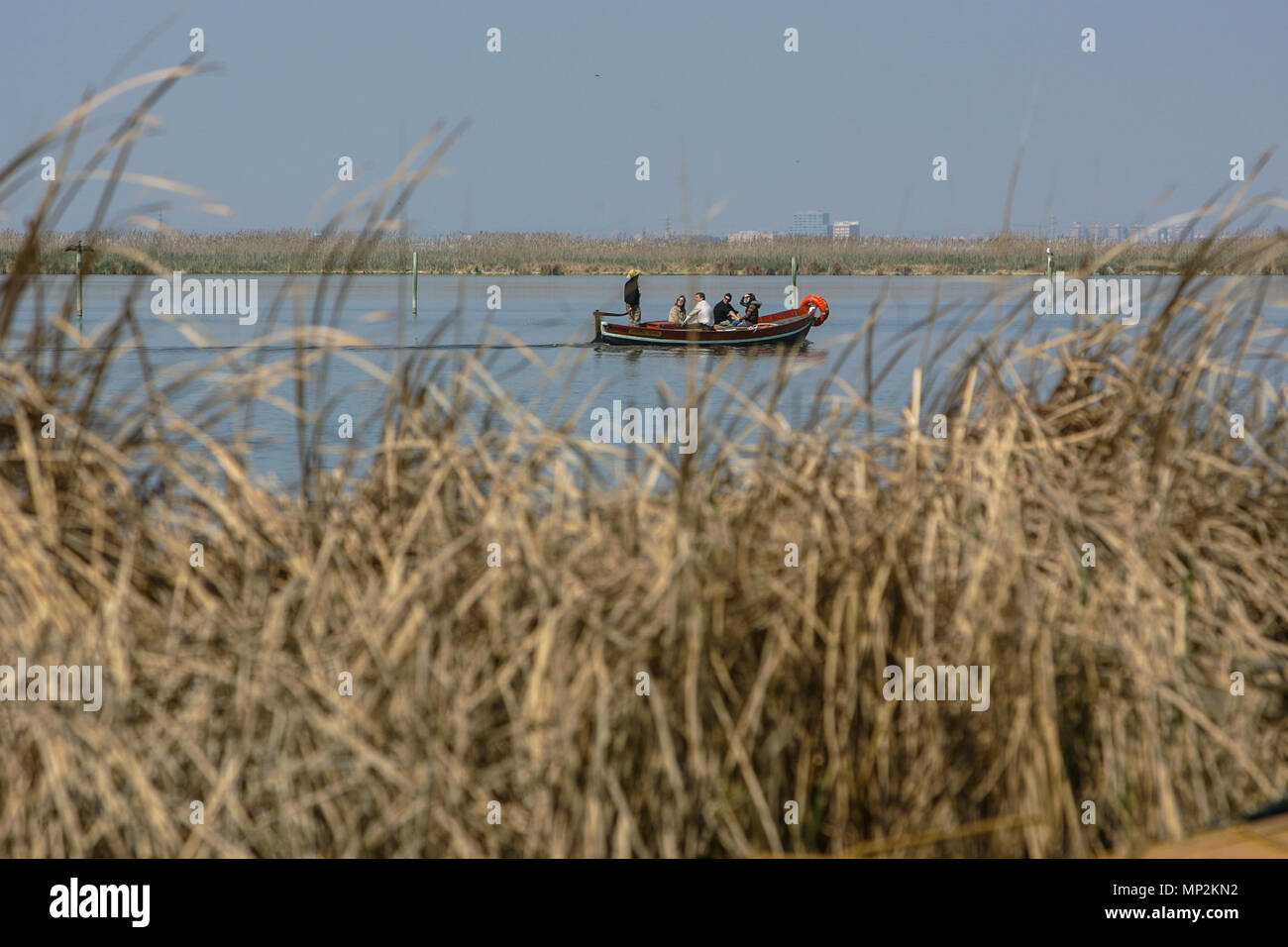the boatman sails with visitors in the Albufera natural park in ...