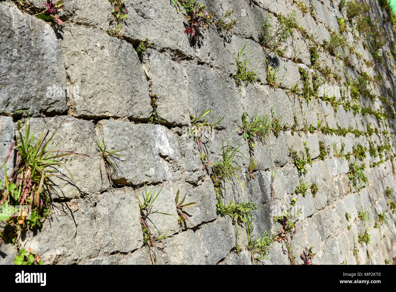 Old stone castle wall made of stone brick slabs. Ancient medieval ...