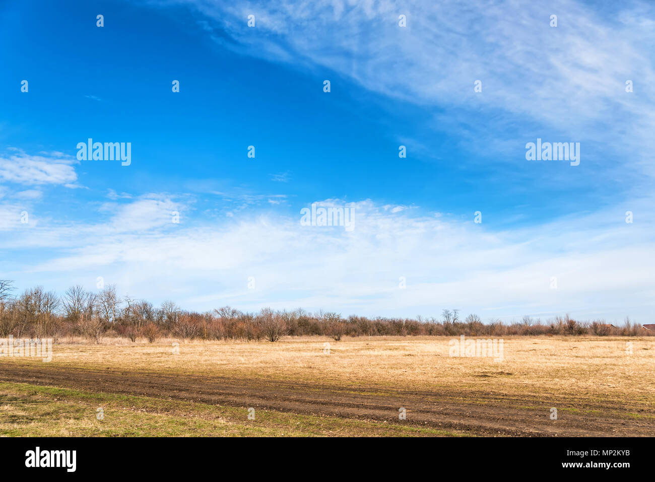 Beautiful fall landscape with field, trees, and dry grass Stock Photo ...