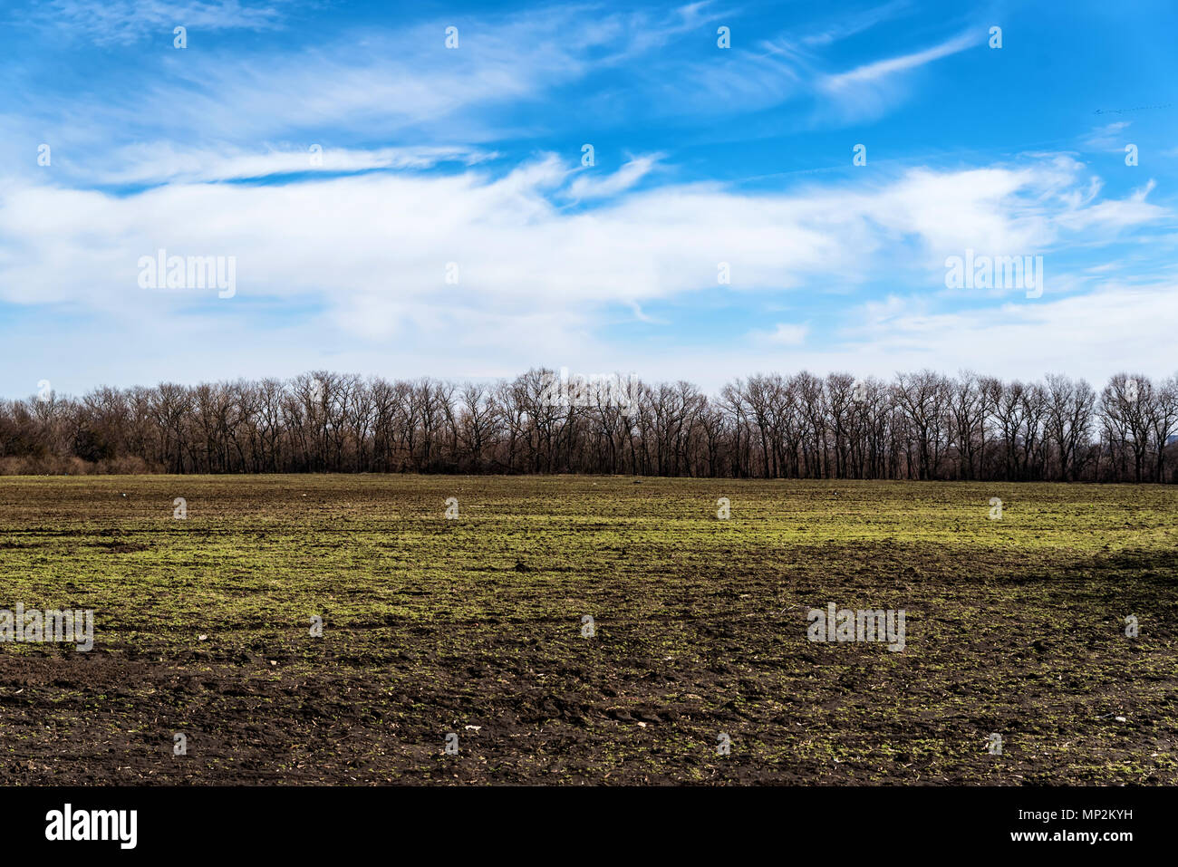 Beautiful landscape scene dry fall hi-res stock photography and images ...