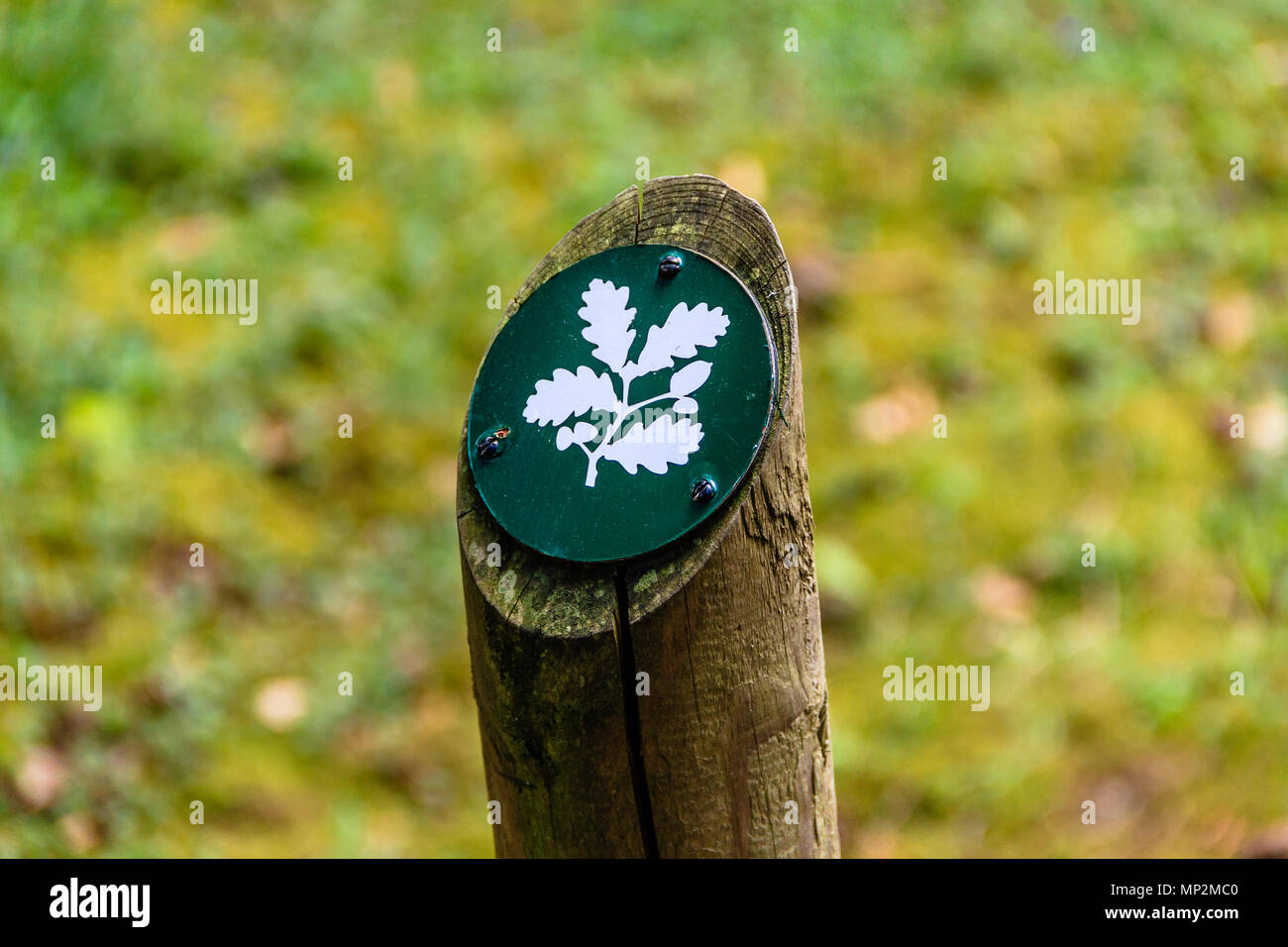 National trust logo hi-res stock photography and images - Alamy