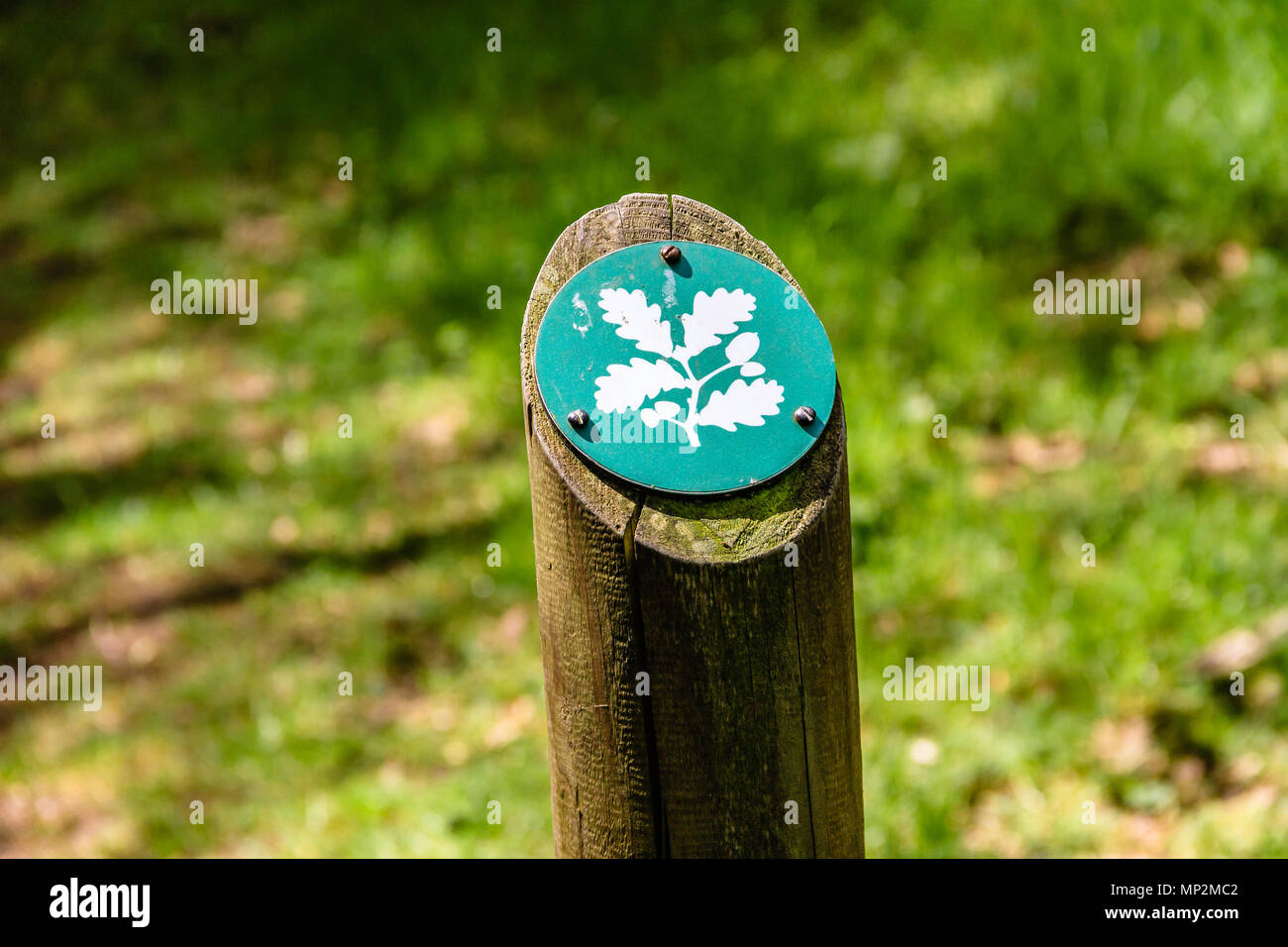 National trust logo hi-res stock photography and images - Alamy