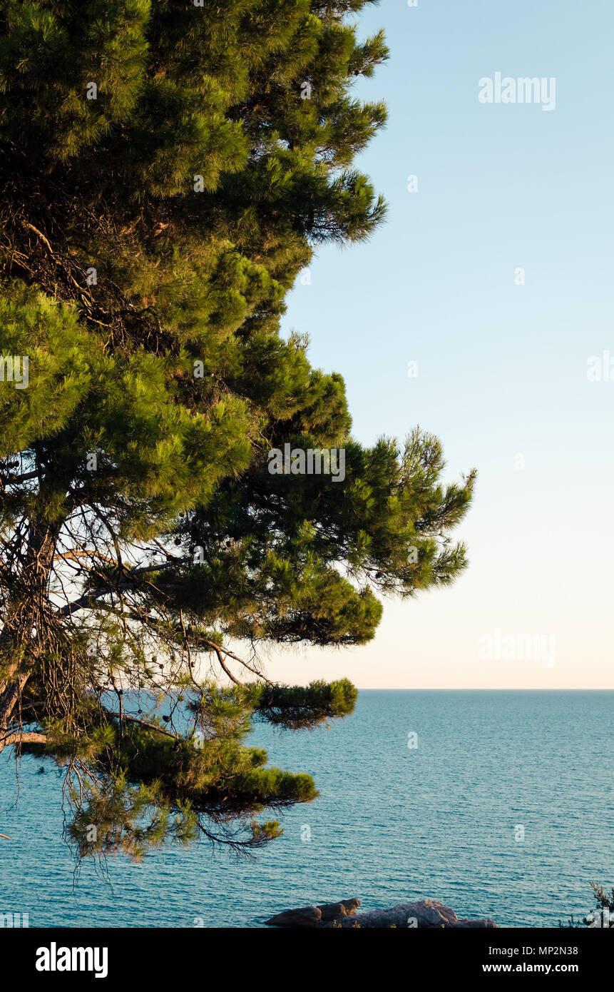 Montenegro ulcinj riviera hi-res stock photography and images - Alamy