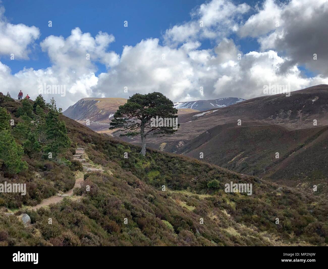 Grampian Mountains High Resolution Stock Photography and Images - Alamy