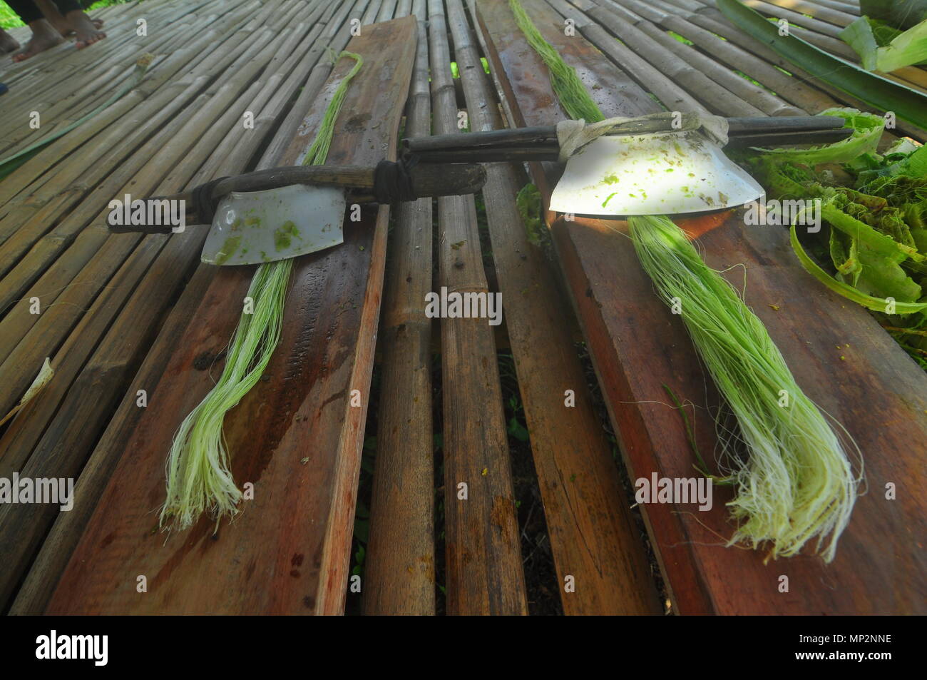 Piña weaving hi-res stock photography and images - Alamy