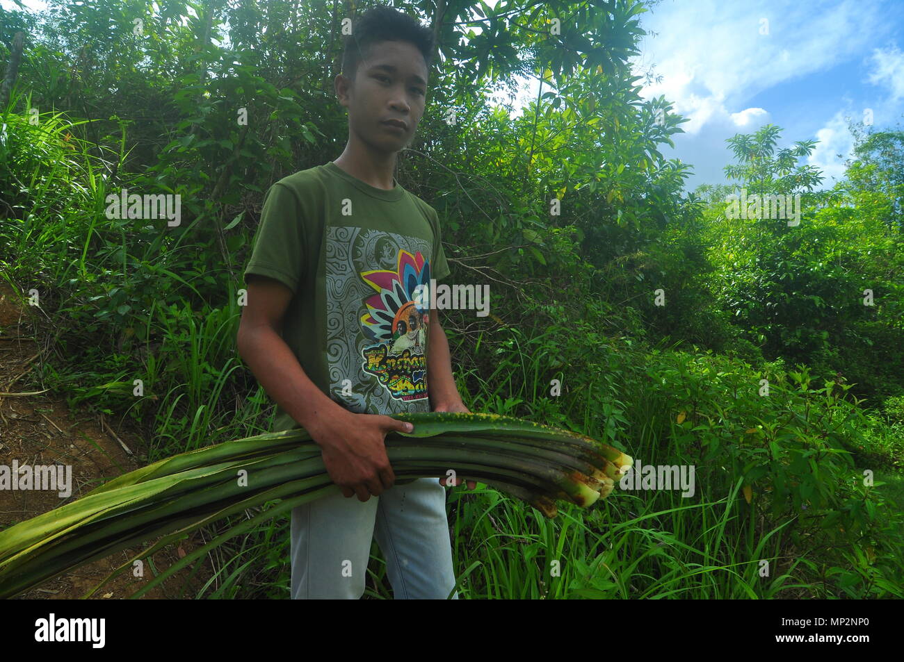 Piña weaving hi-res stock photography and images - Alamy