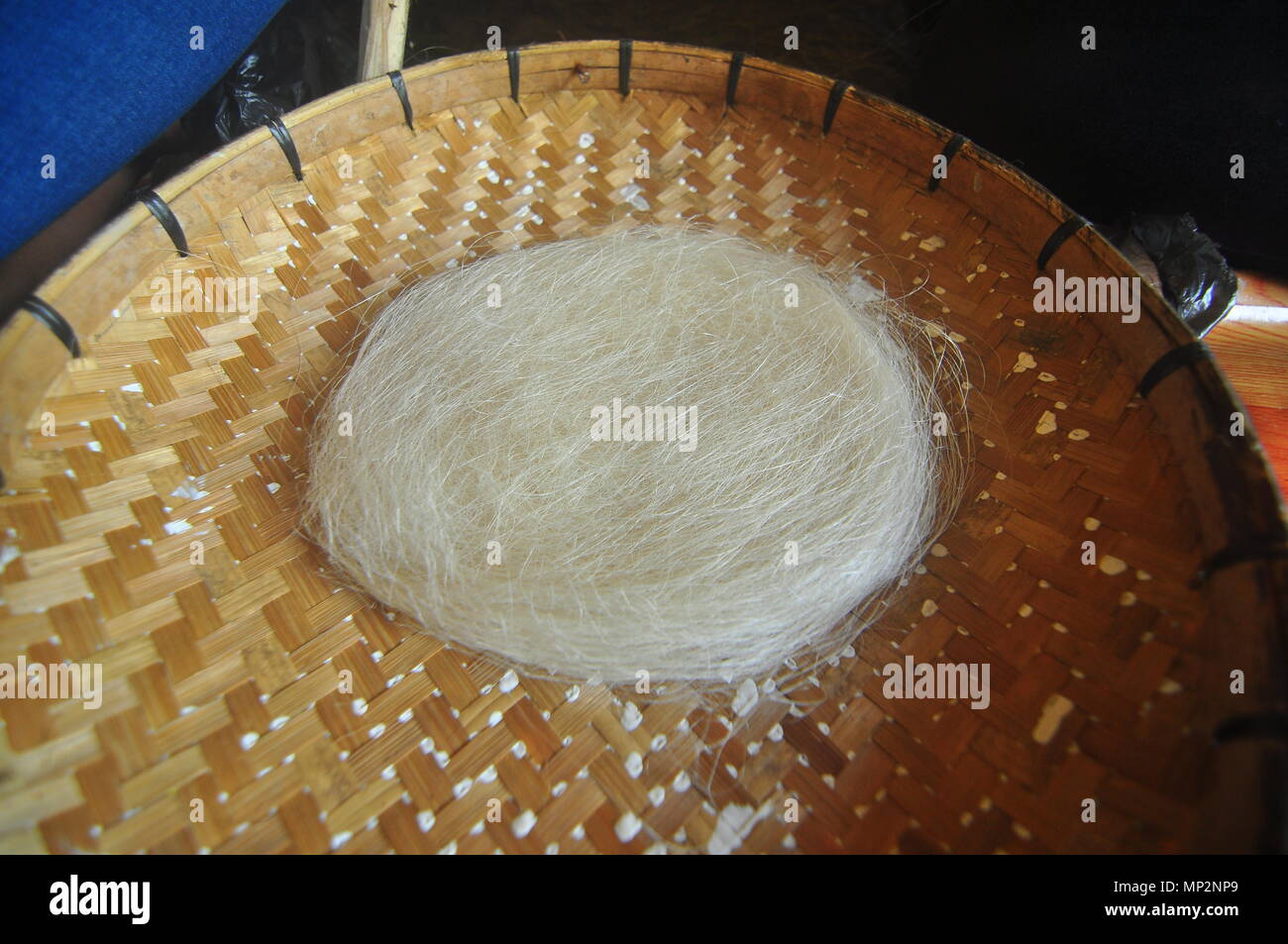 Abaca fibers hi-res stock photography and images - Alamy