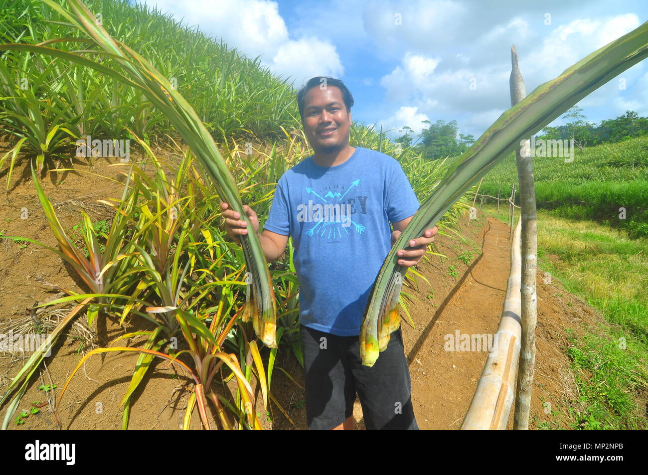 Piña weaving hi-res stock photography and images - Alamy