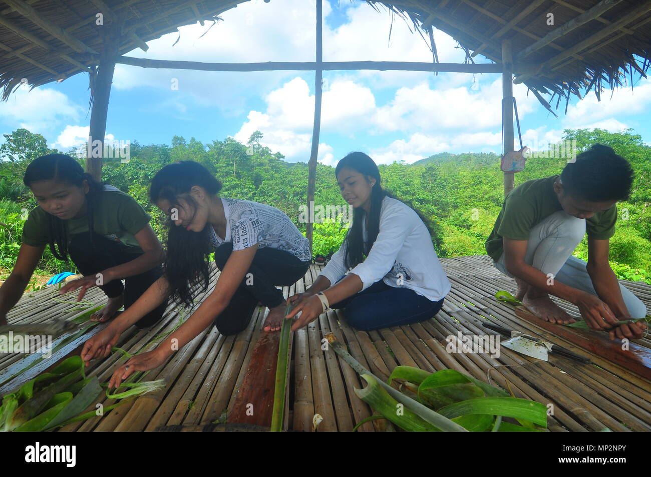Piña weaving hi-res stock photography and images - Alamy