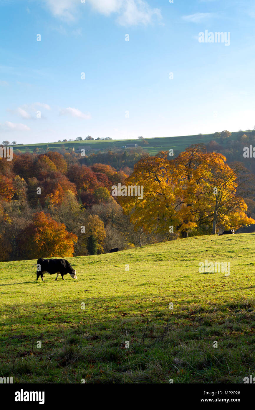 Golden valley cotswolds hi-res stock photography and images - Alamy