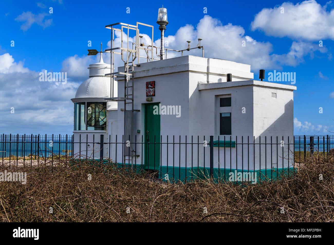 Berry head hi-res stock photography and images - Alamy