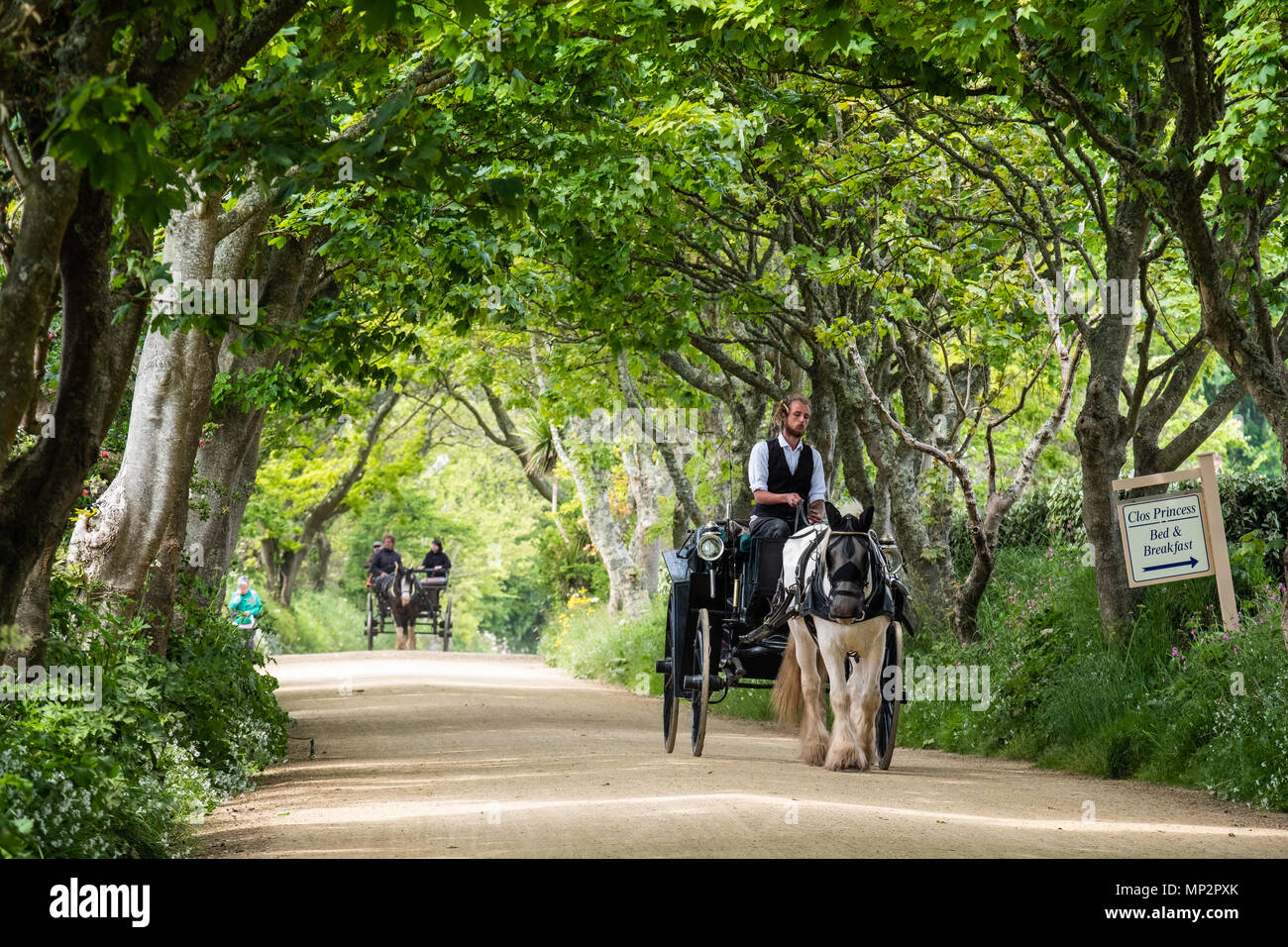 Horse drawn carriages on the island of Sark, Channel Islands Stock ...