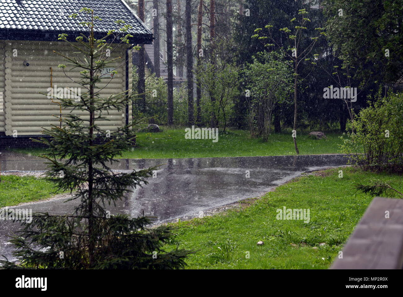 landscape on a running rain next to a Christmas tree on a cottage ...