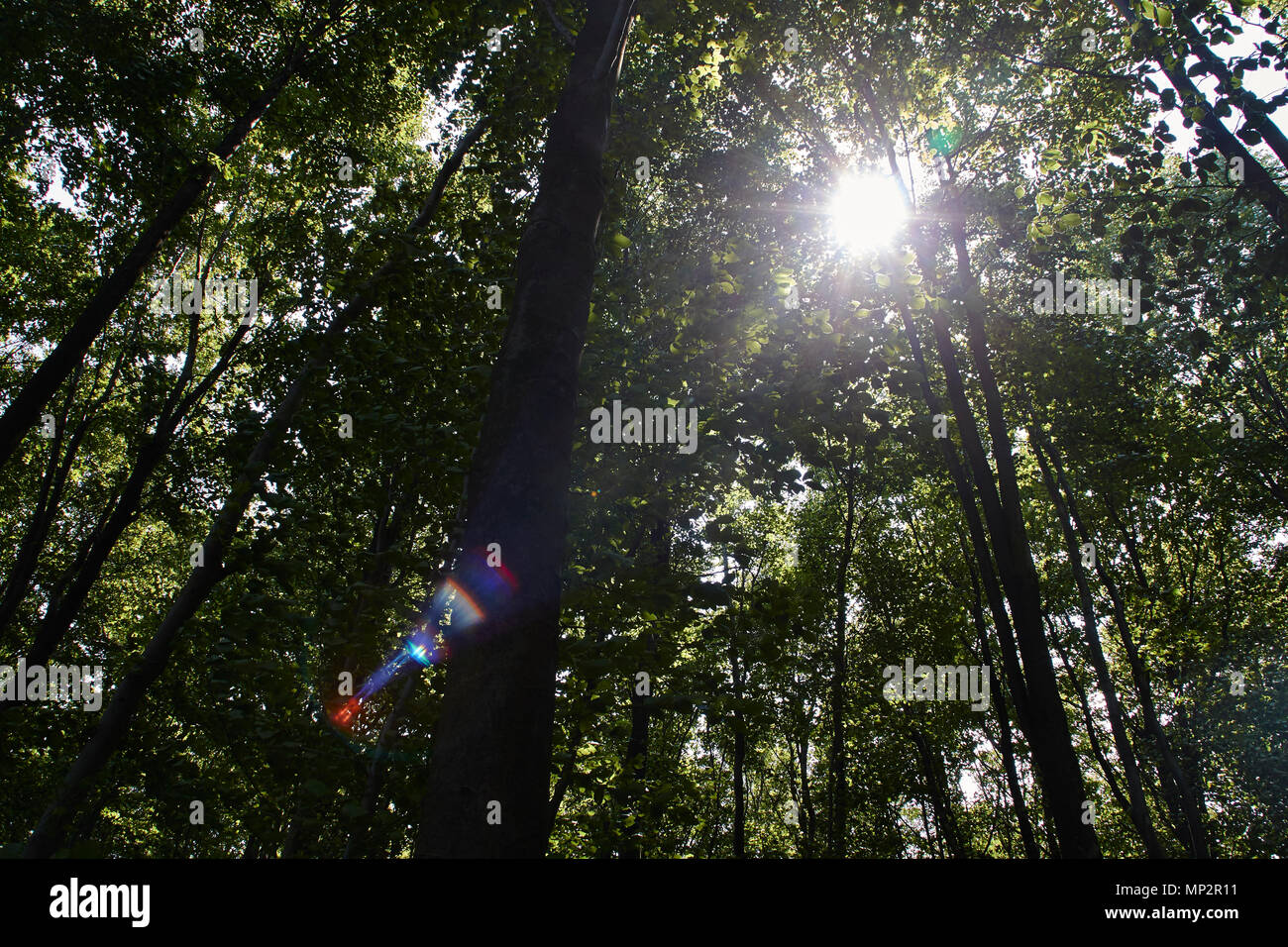 landscape at the border triangle in Vaals, Netherlands Stock Photo - Alamy