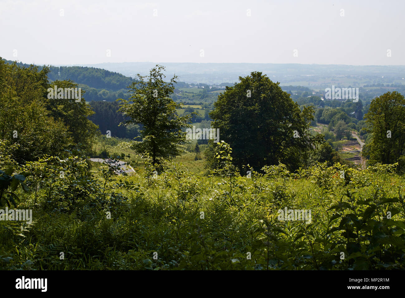 landscape at the border triangle in Vaals, Netherlands Stock Photo - Alamy