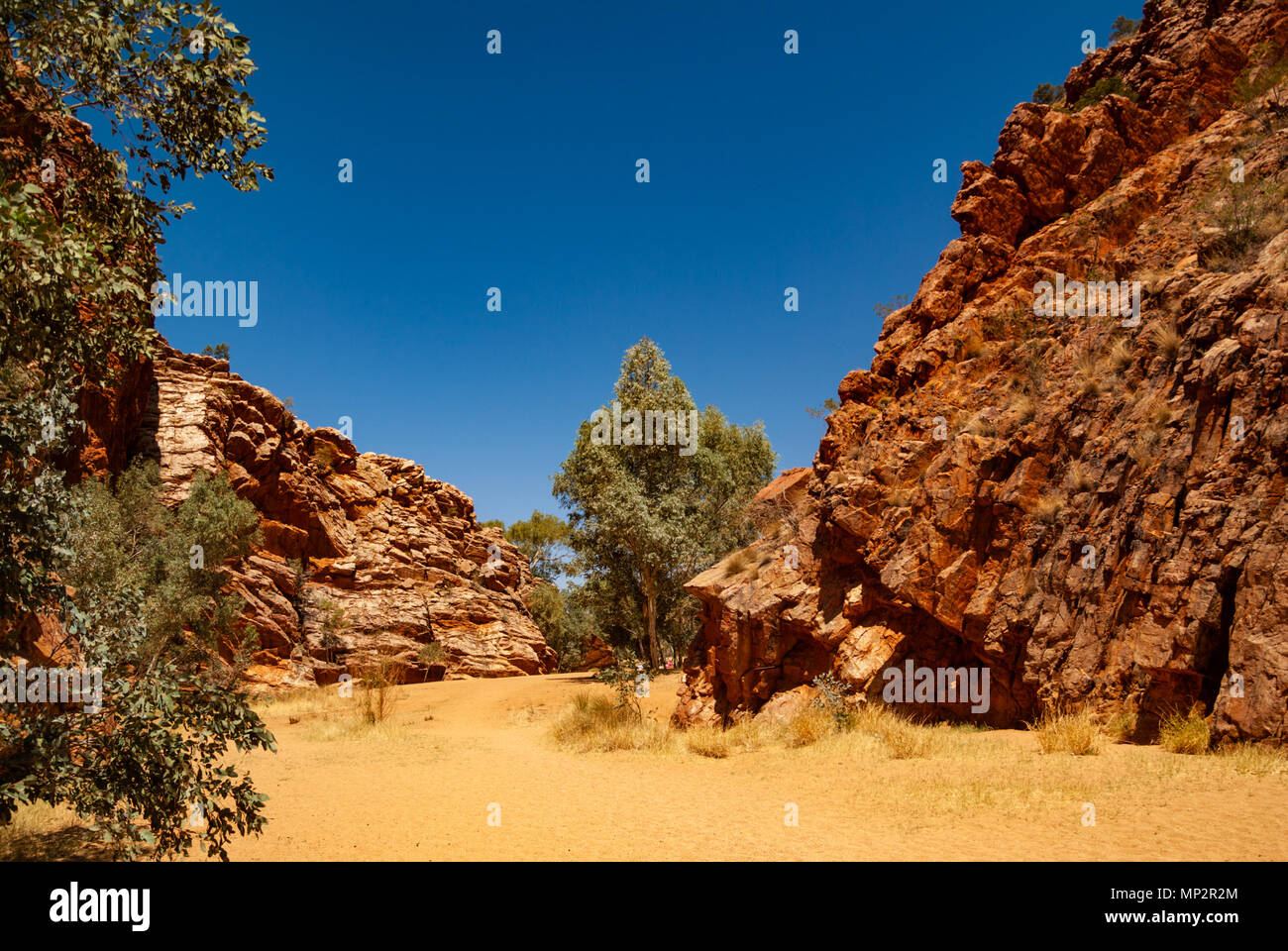 Heavitree alice springs hi-res stock photography and images - Alamy