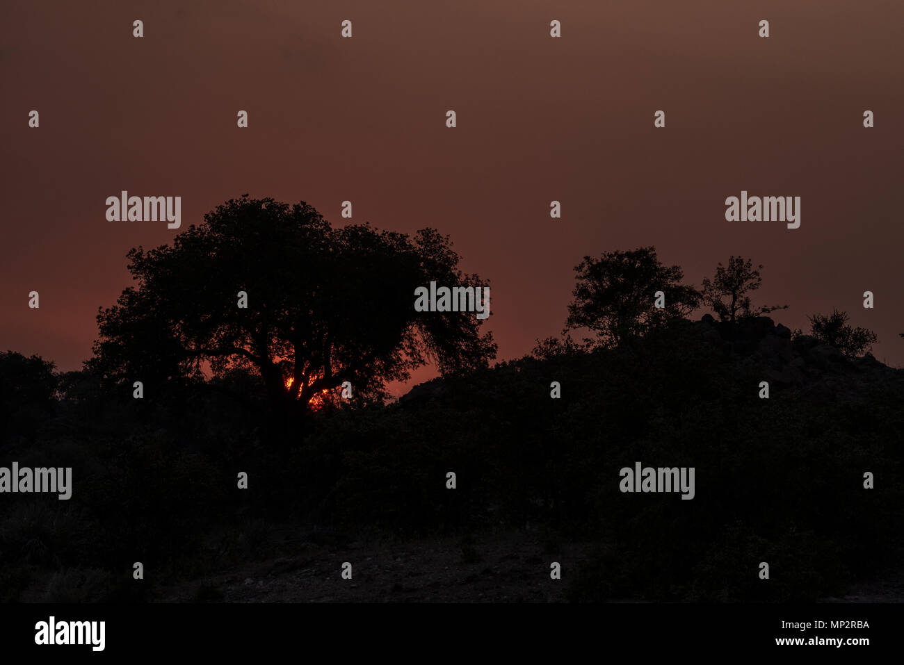 Dusk setting hi-res stock photography and images - Alamy