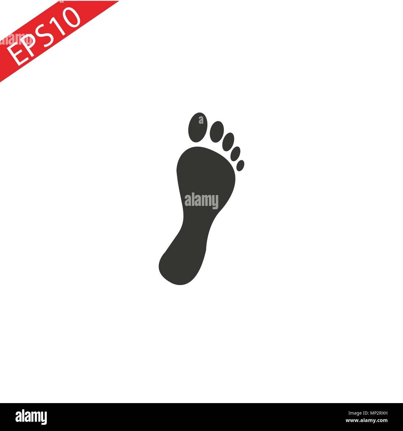 Foot front view illustration on white backgroun Stock Vector Image ...