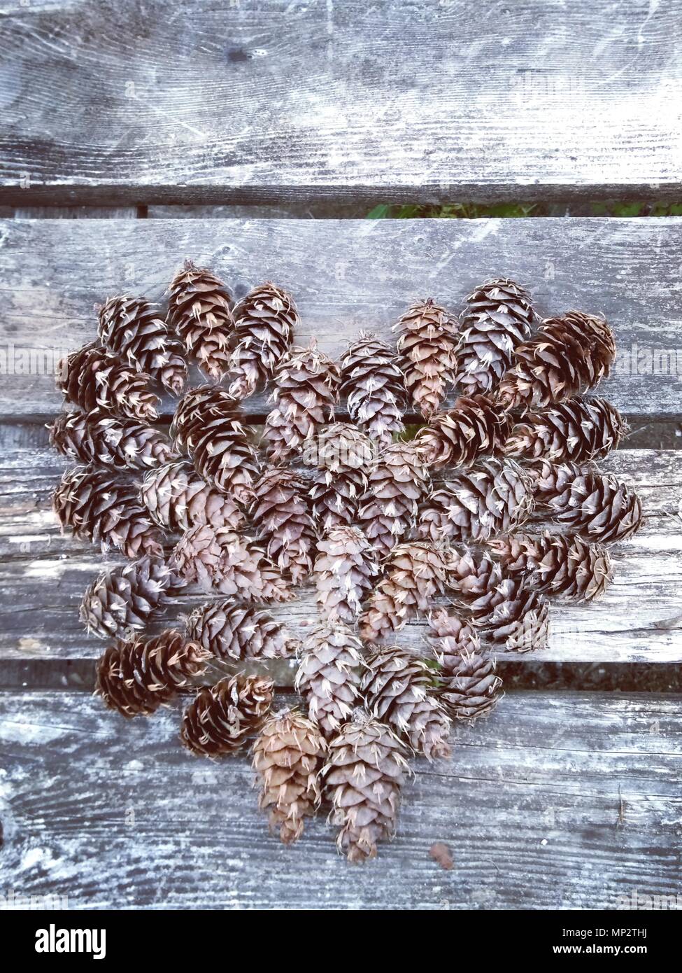 Heart pine cones hi-res stock photography and images - Alamy
