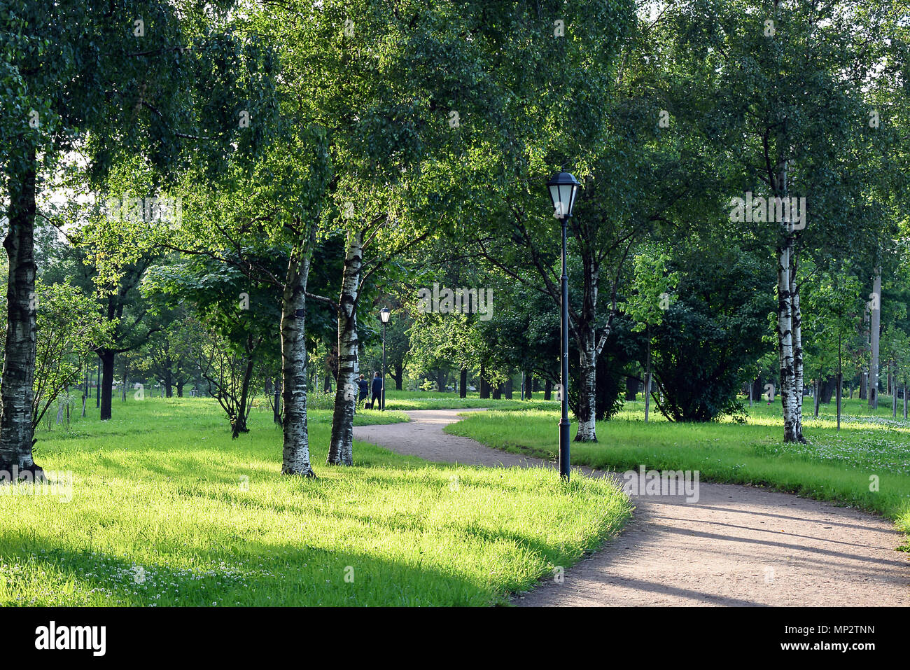 A path in an empty park, illuminated by the sun's rays Stock Photo - Alamy