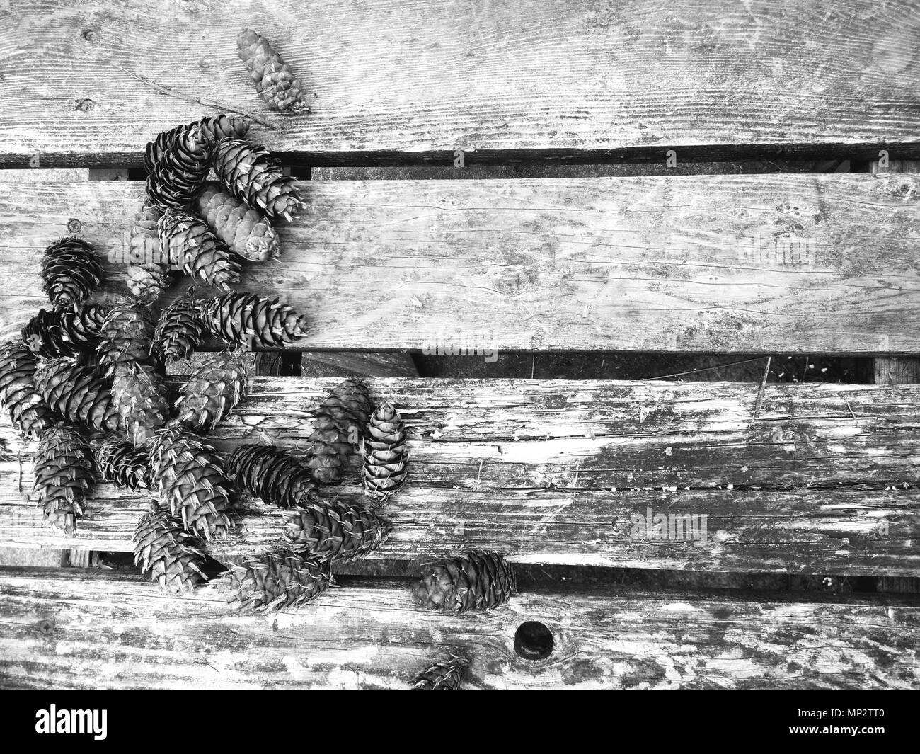 Rustic Picnic Table Stock Photo - Alamy