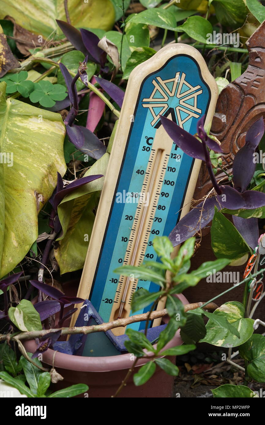 An antique-style garden thermometer, designed with a classic blue and ...