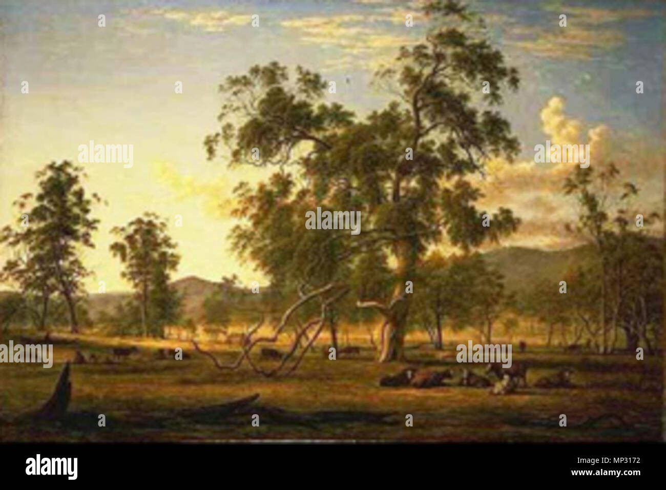 Australian landscape with cattle: the artist's property ...