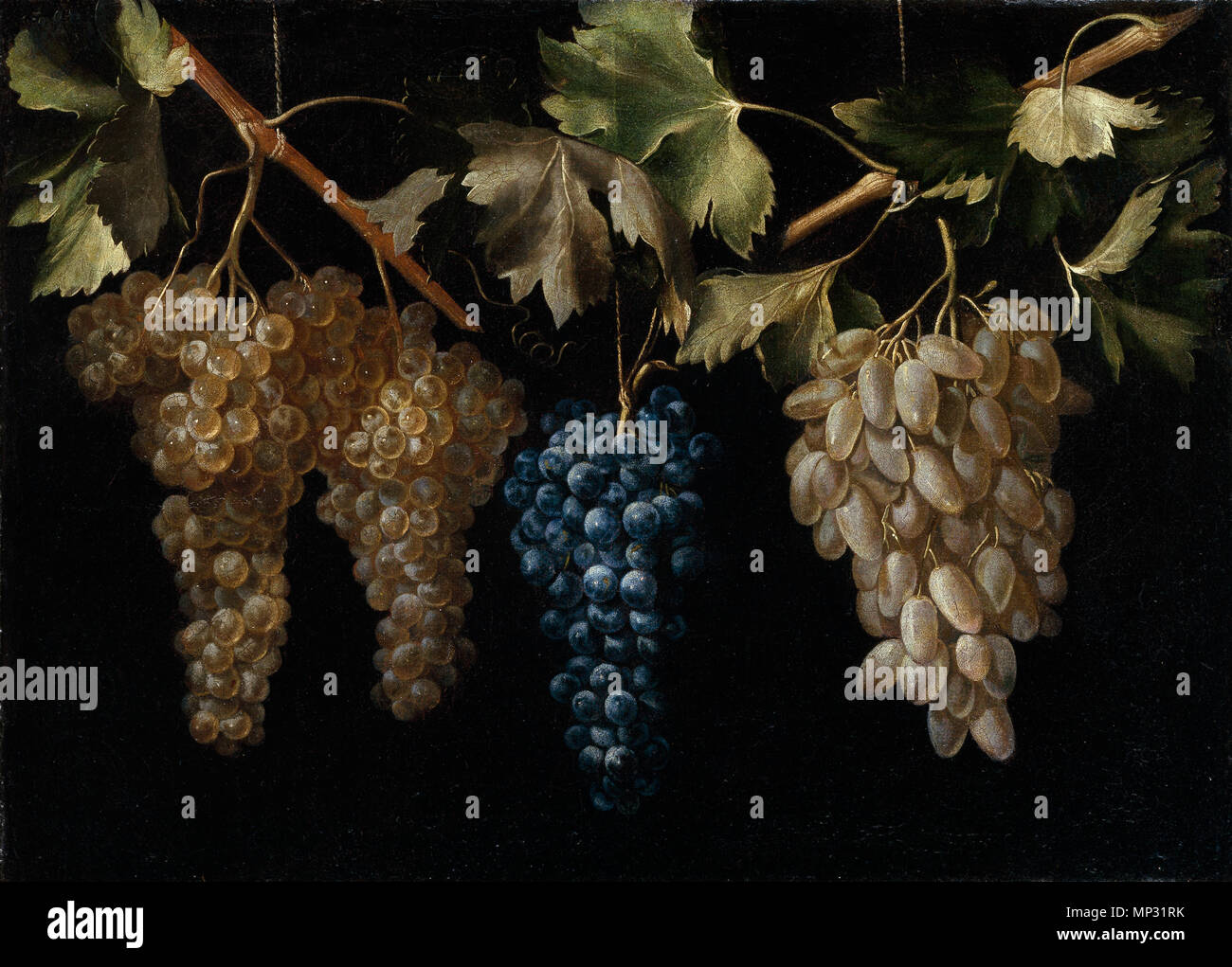 El labrador hi-res stock photography and images - Alamy