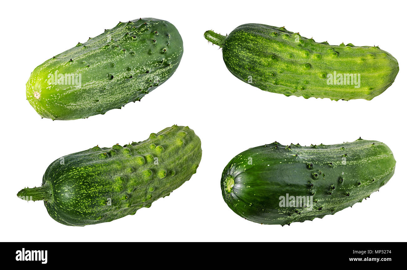 cucumber isolated on the white Stock Photo - Alamy