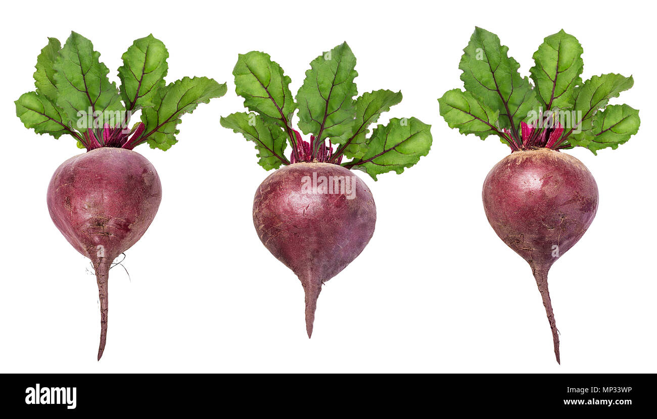 Beetroot with leaves isolated on white Stock Photo - Alamy