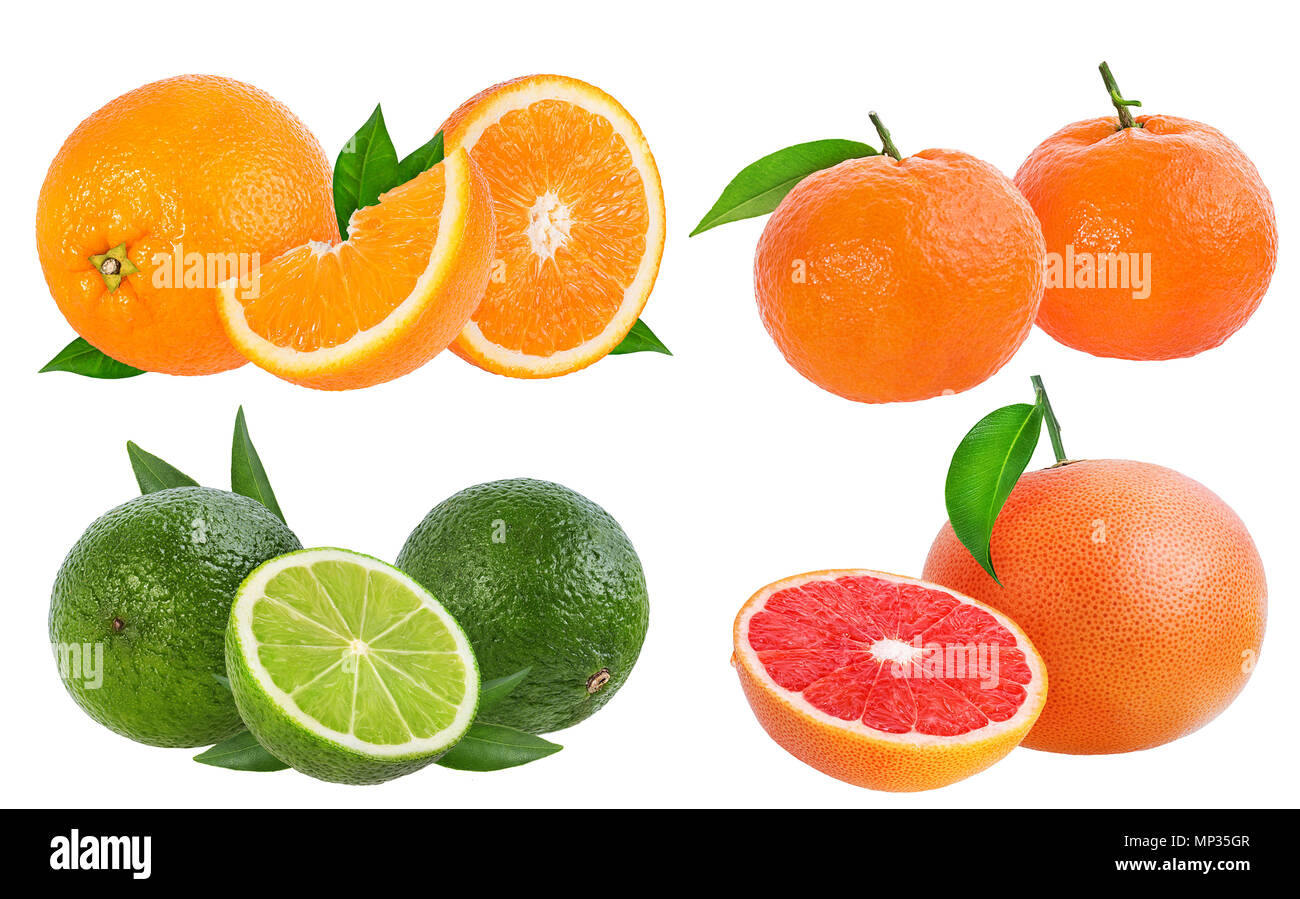 Citrus Fruit Set (orange, grapefruit, lime, tangerine or mandarin fruit ...