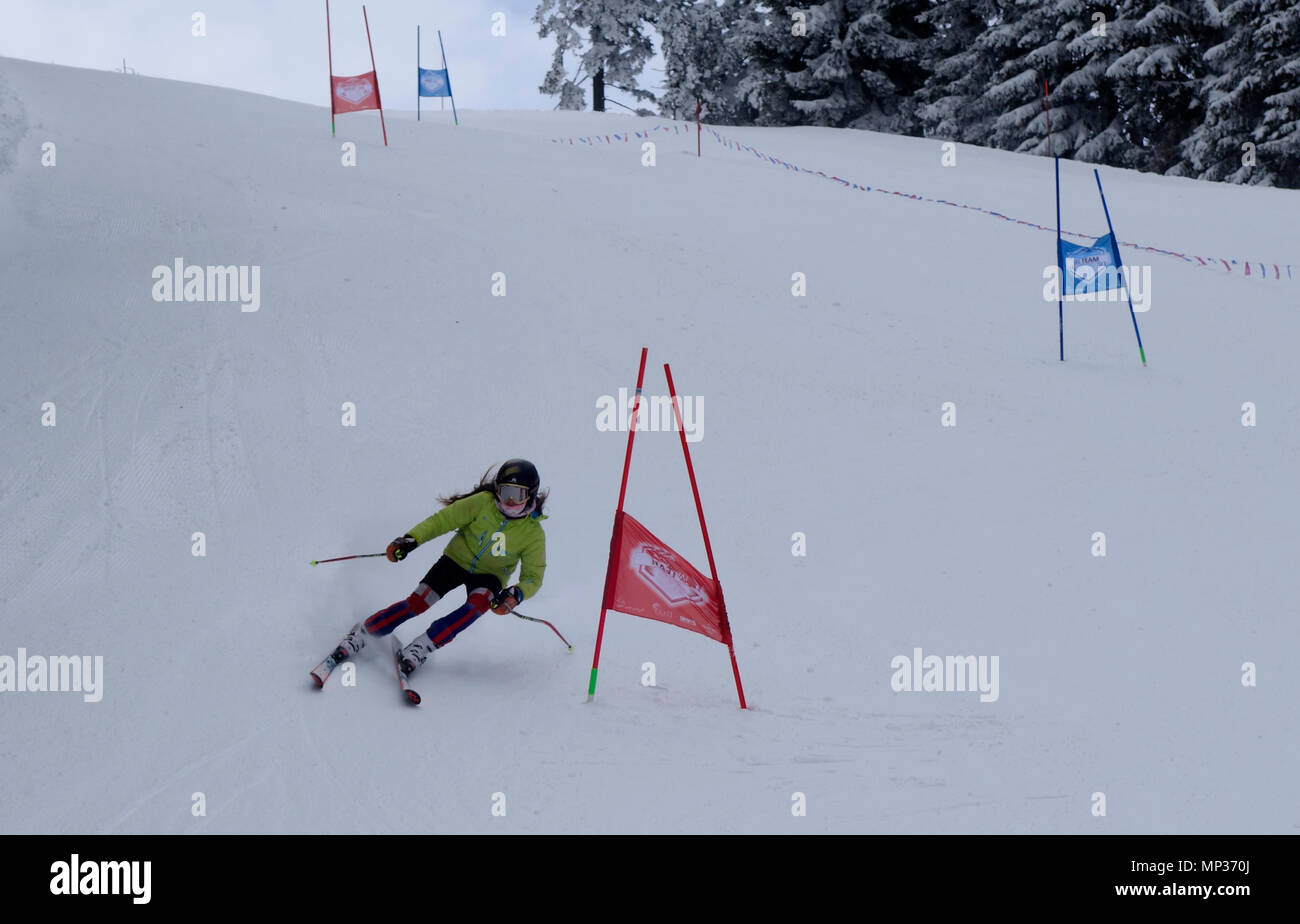 Slalom course hi-res stock photography and images - Alamy