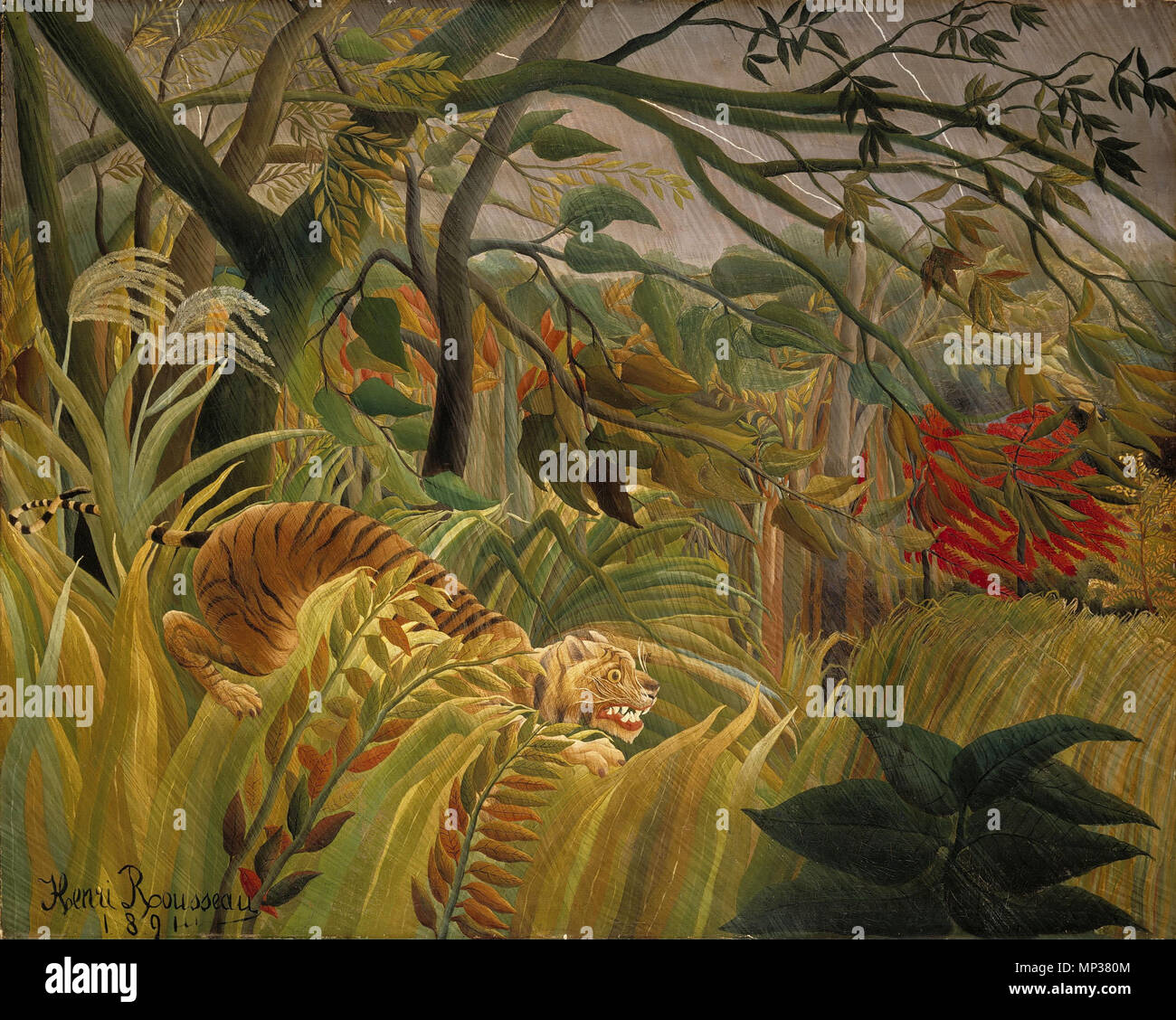 Tiger in a tropical storm surprised hi-res stock photography and images ...