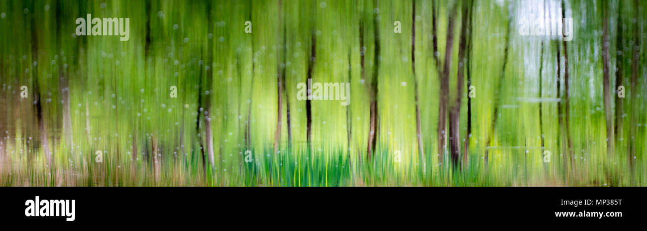 Impressionist pond hi-res stock photography and images - Alamy