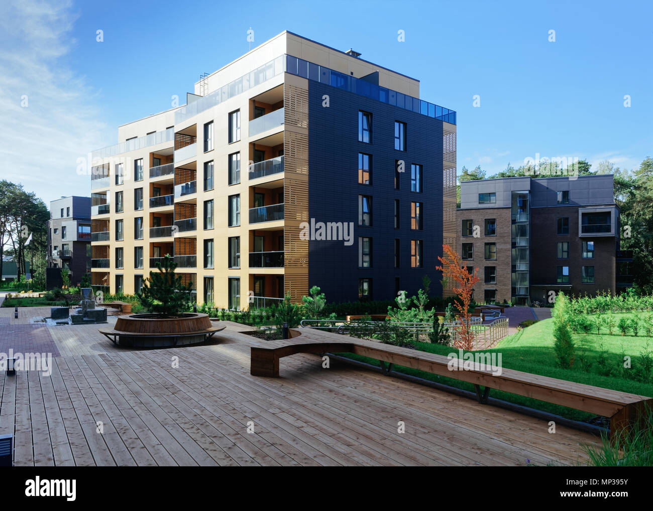 Pine tree at architectural complex of apartment building. And outdoor ...
