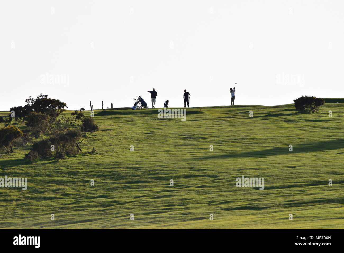 The 18th at Clyne Golf Club Stock Photo - Alamy