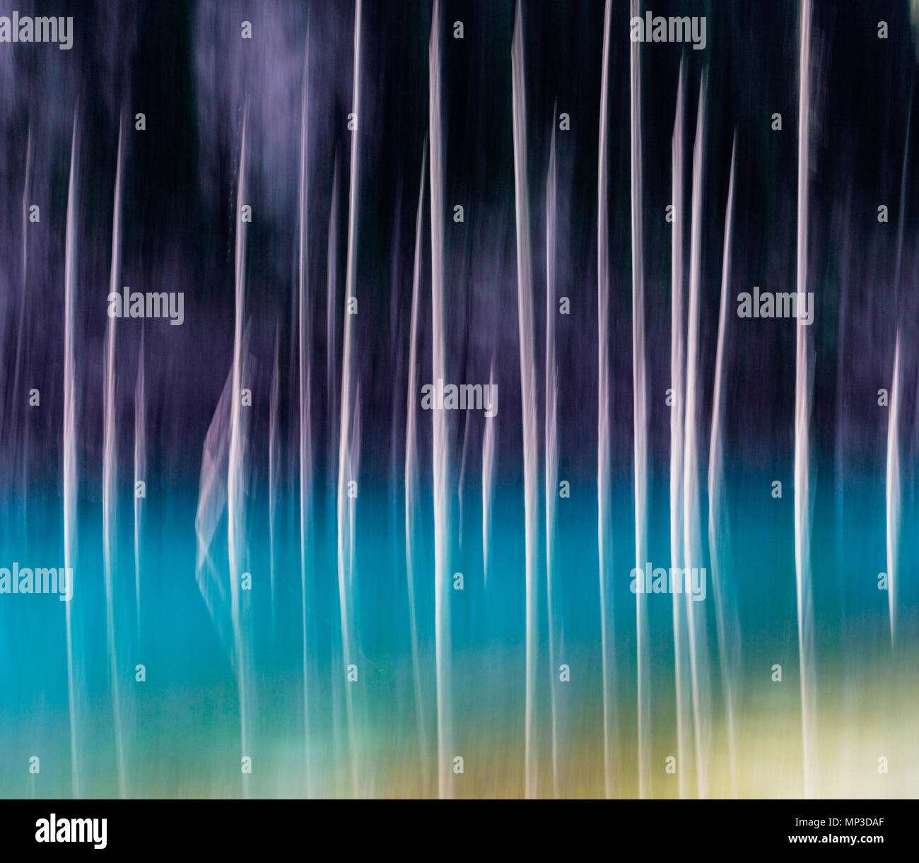 Abstract background of empty trees blurred vertically Stock Photo - Alamy