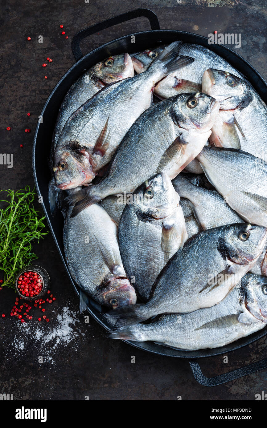 Fish. Fresh sea bream. Raw dorado fish Stock Photo - Alamy
