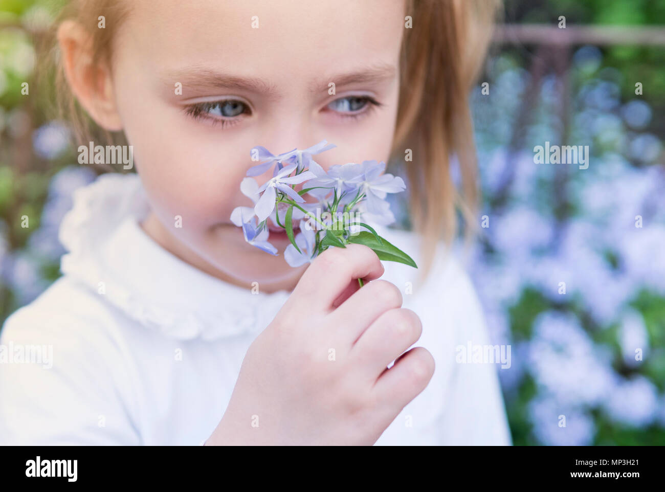 Little beautiful girl sniffing a flower, holding it in her hand ...